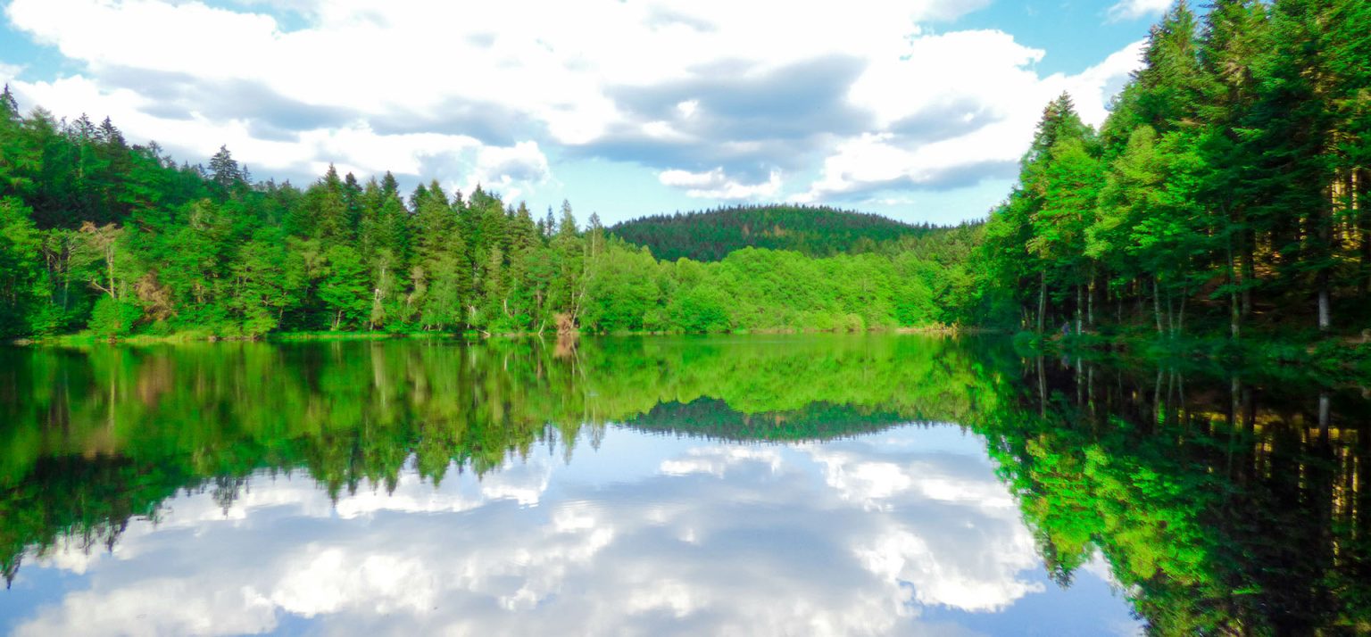 Careers - Polyventive